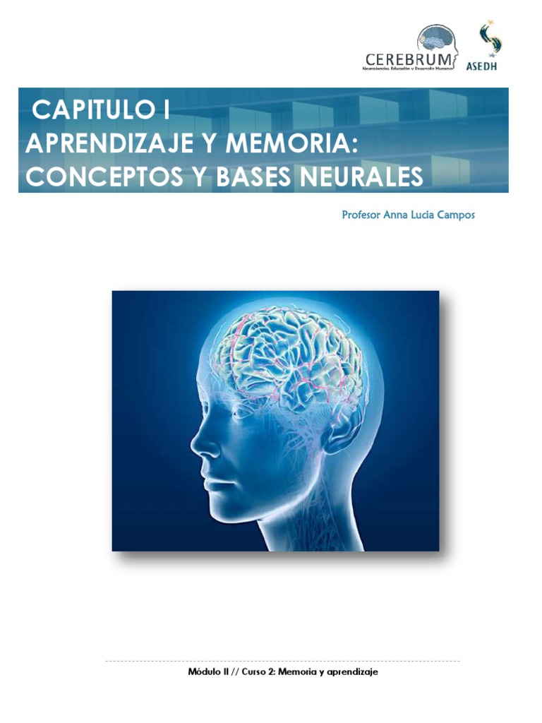 Capitulo 1 Aprendizaje Y Memoria Pdf Memoria Aprendizaje