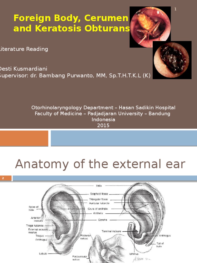 Ear Foreign Bodies & Cerumen Guide | PDF | Medical Specialties | Health ...