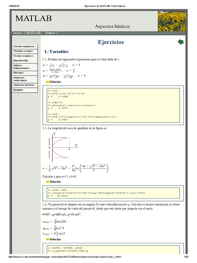 Ejercicios Básicos de MATLAB | PDF | Pi | Raíz cuadrada