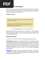 Cómo redactar un ensayo de cuartilla | PDF | Ensayos