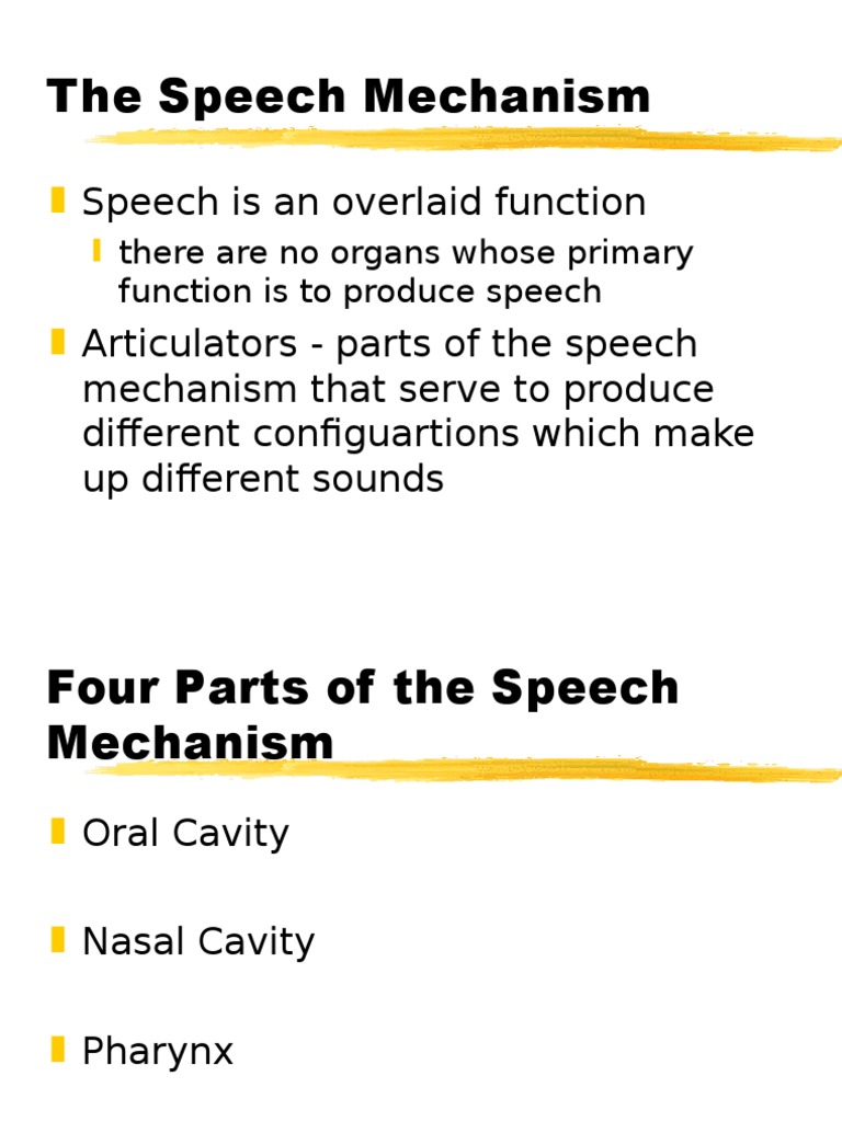 Speech Mechanism | PDF | Larynx | Tongue