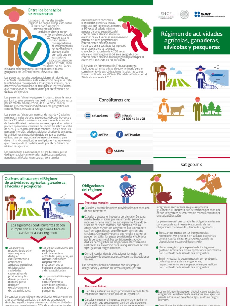 TRIPTICO SAT Actagricolas 2014 | PDF | Impuesto sobre la renta ...
