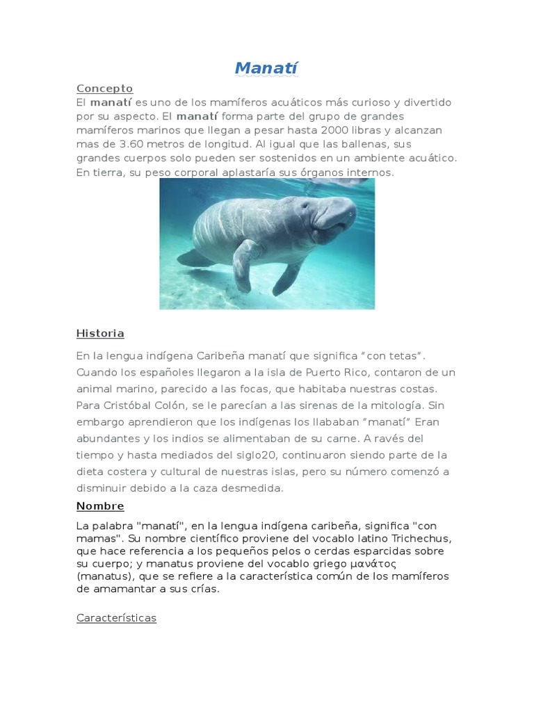 Datos y características del manatí | PDF | Naturaleza