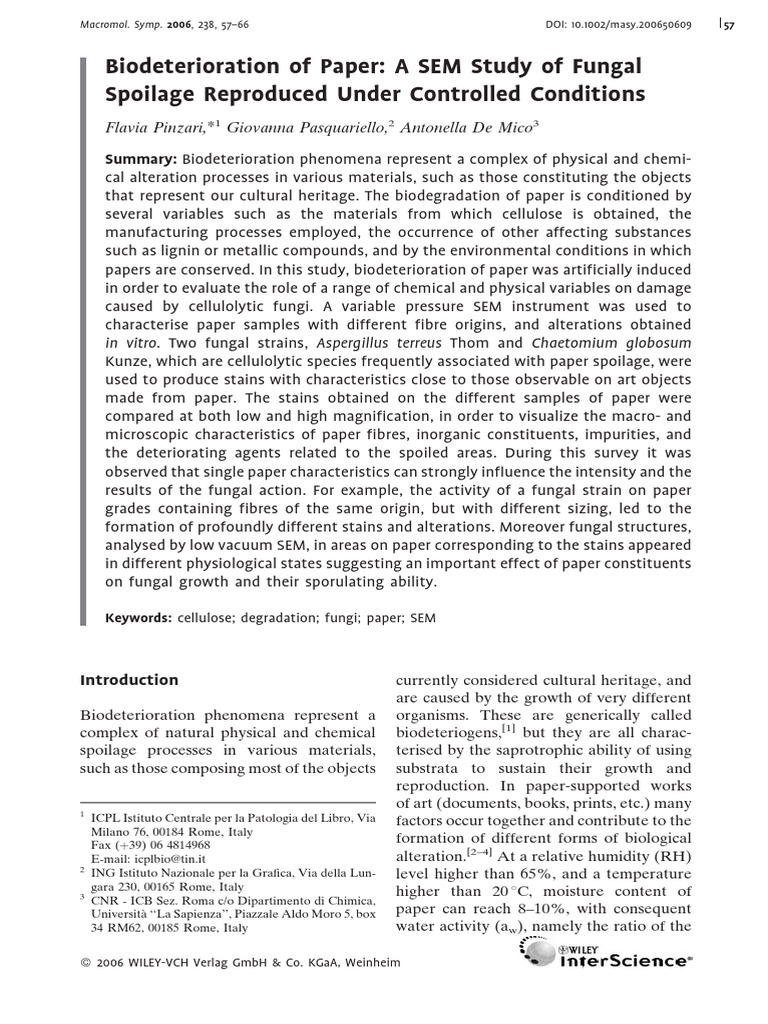 Biodeterioration of Paper (Fungi) | PDF | Paper | Scanning Electron ...