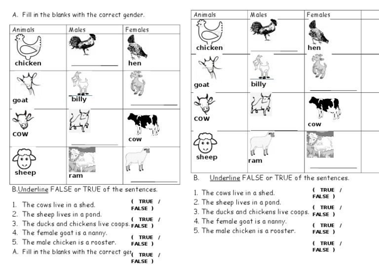 Gender Identification in Farm Animals | PDF