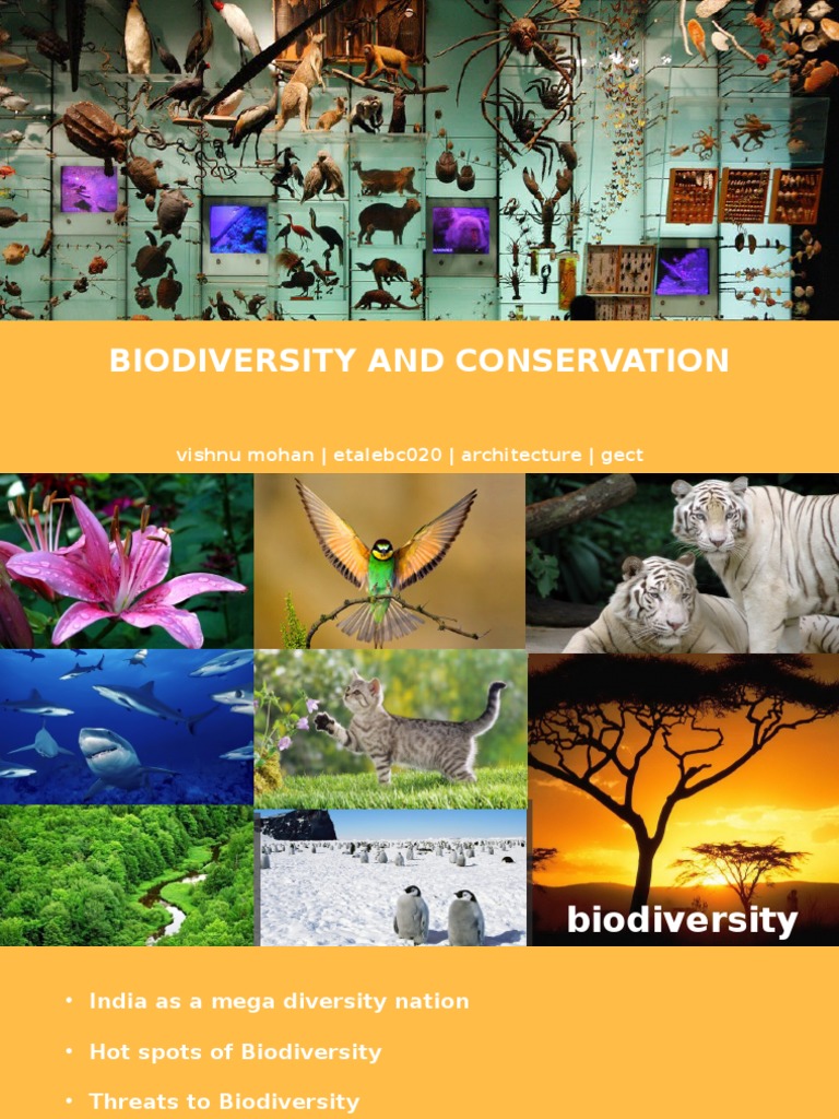 Biodiversity and Conservation | PDF | Habitat Destruction | Poaching