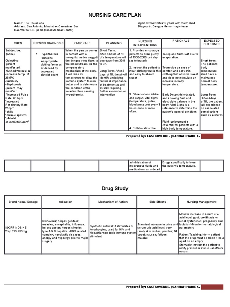NURSING-CARE-PLAN.docx | Herpes Simplex | Hyperthermia NURSING-CARE-PLAN.docx | Herpes Simplex | Hyperthermia