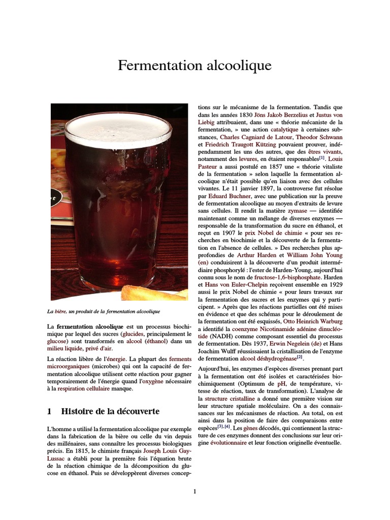 Fermentation Alcoolique | PDF | Respiration cellulaire | Adénosine ...