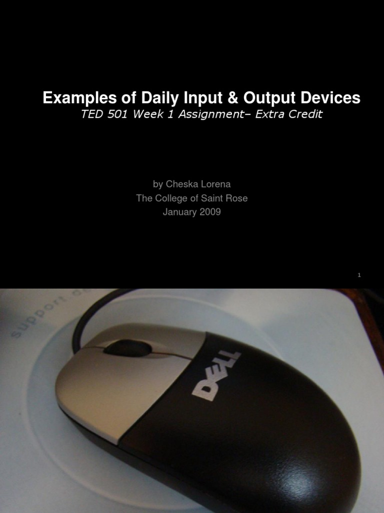 Types of Input/Output Devices | PDF | Input/Output | Electrical Engineering