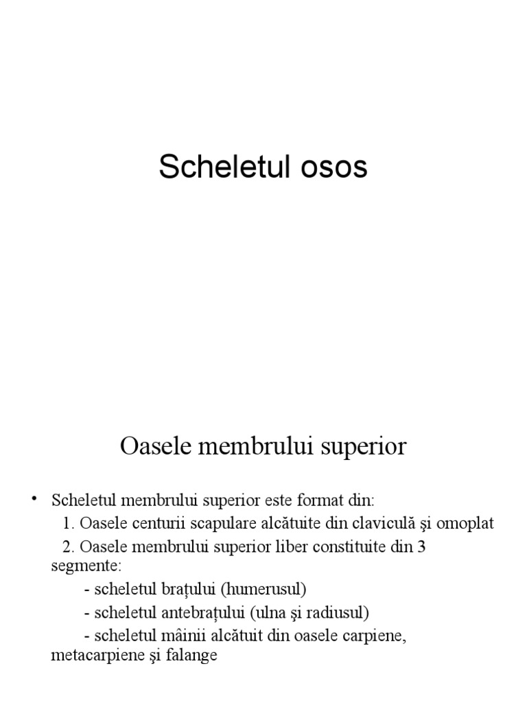 Scheletul Osos | PDF