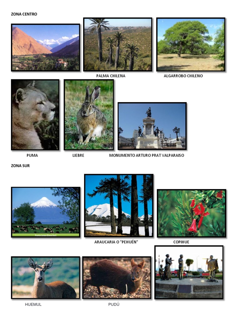 Flora y Fauna Norte, Centro y Sur Chile | PDF