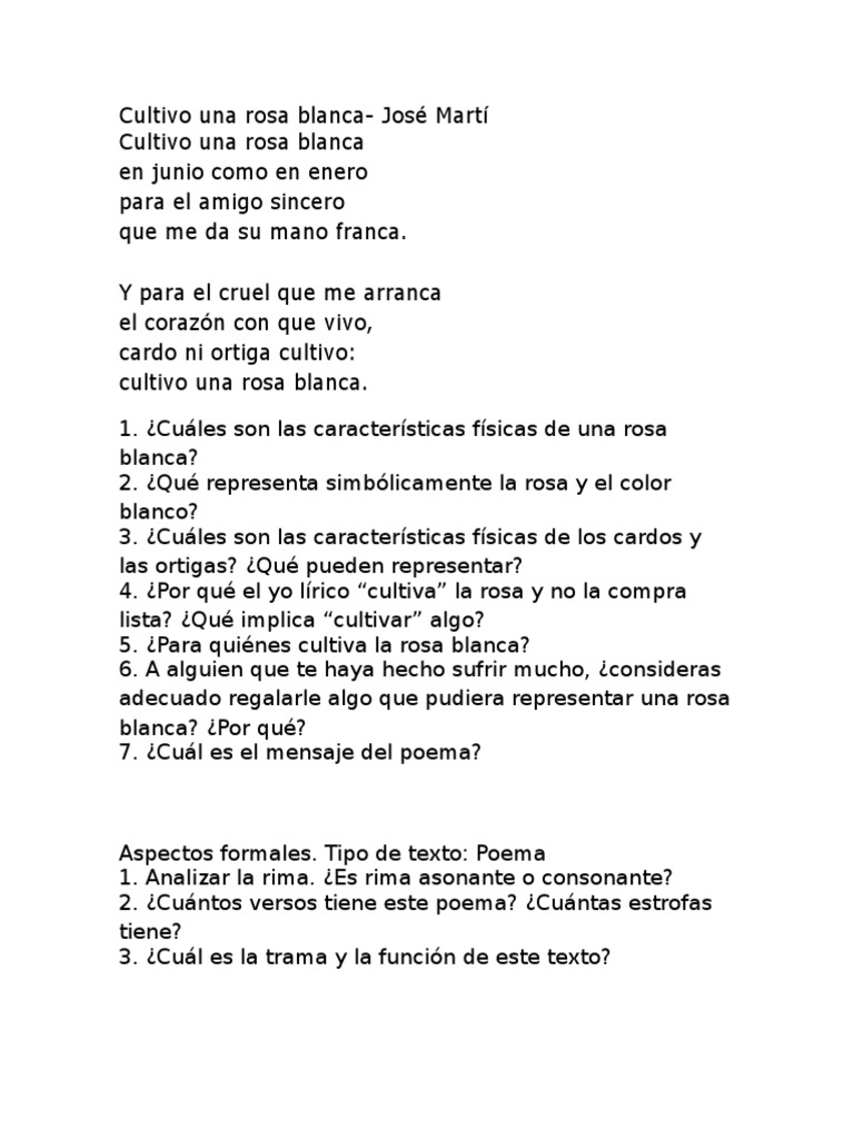 Cultivo Una Rosa Blanca