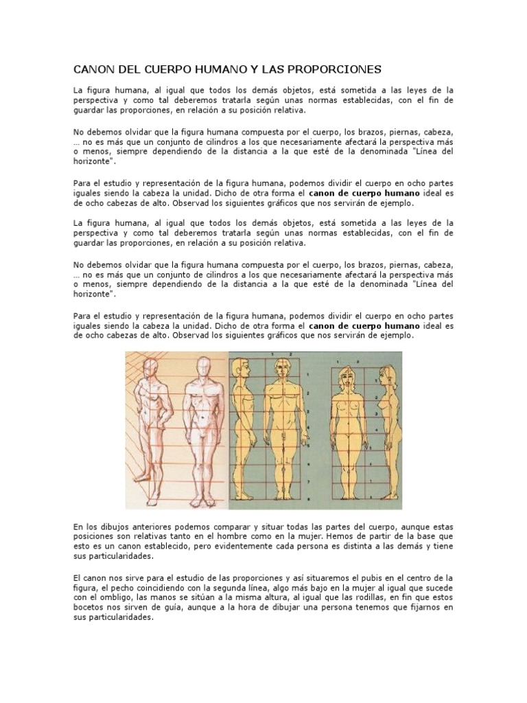 Canon Del Cuerpo Humano Y Las Proporciones Perspectiva Gráfica