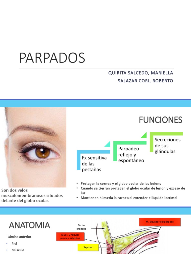 Parpados: anatomia y patologia | Oftalmología | Órganos sensoriales