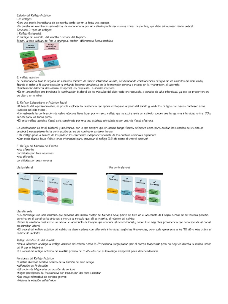 Estudio Del Reflejo Acústico Word | PDF | Decibel | Músculo