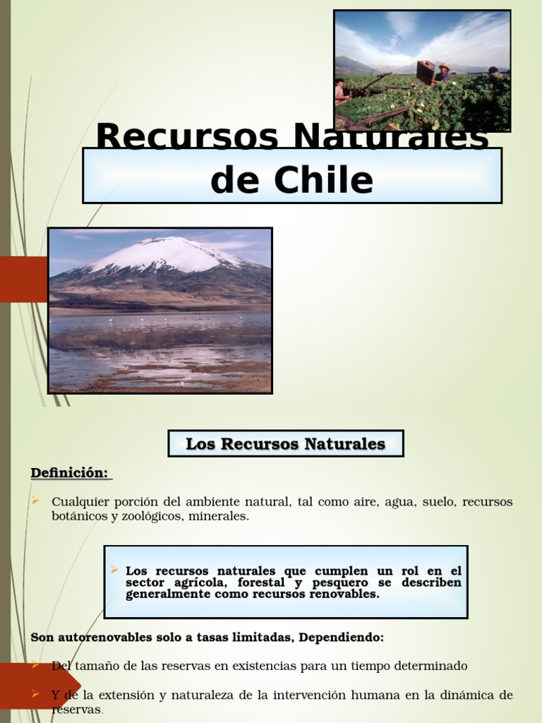 Recursos Naturales de Chile | PDF | Chile | Suelo
