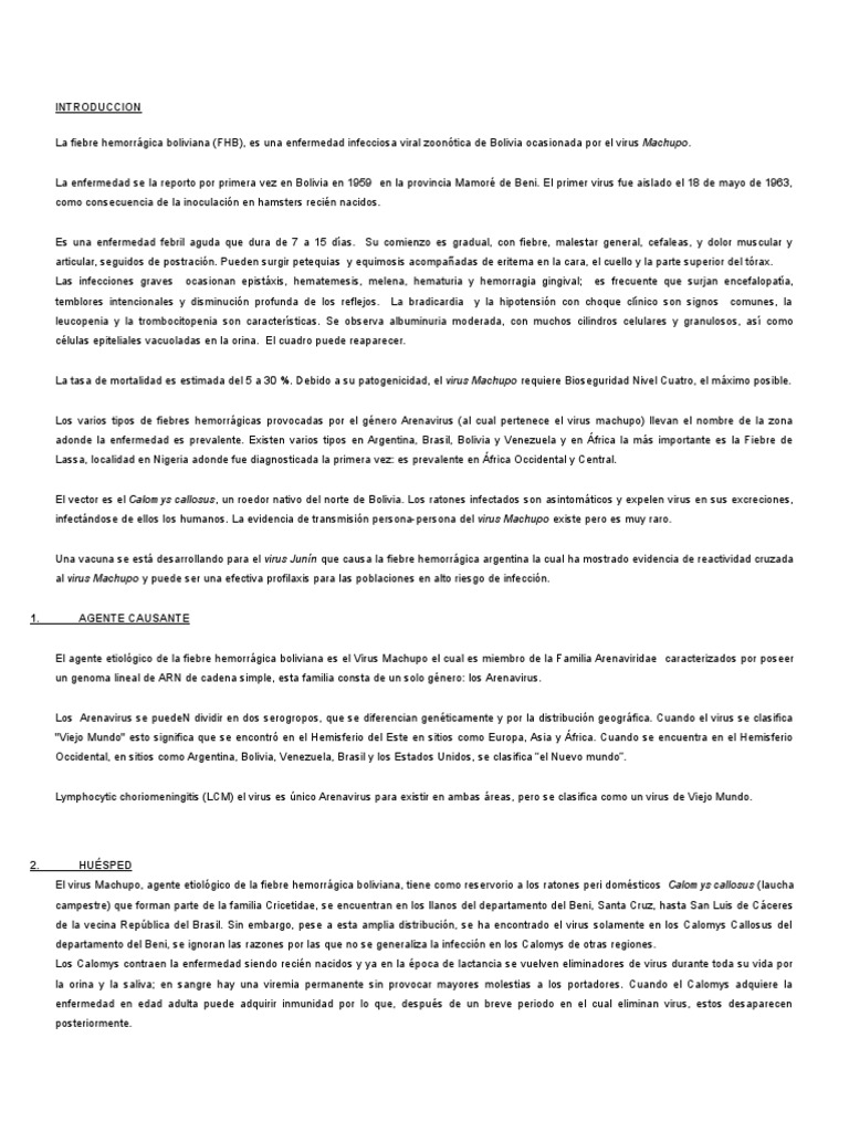 Fiebre Hemorrágica Boliviana: Virus Machupo | PDF | Virus | Medicina ...