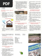 Pagbababuyan | PDF