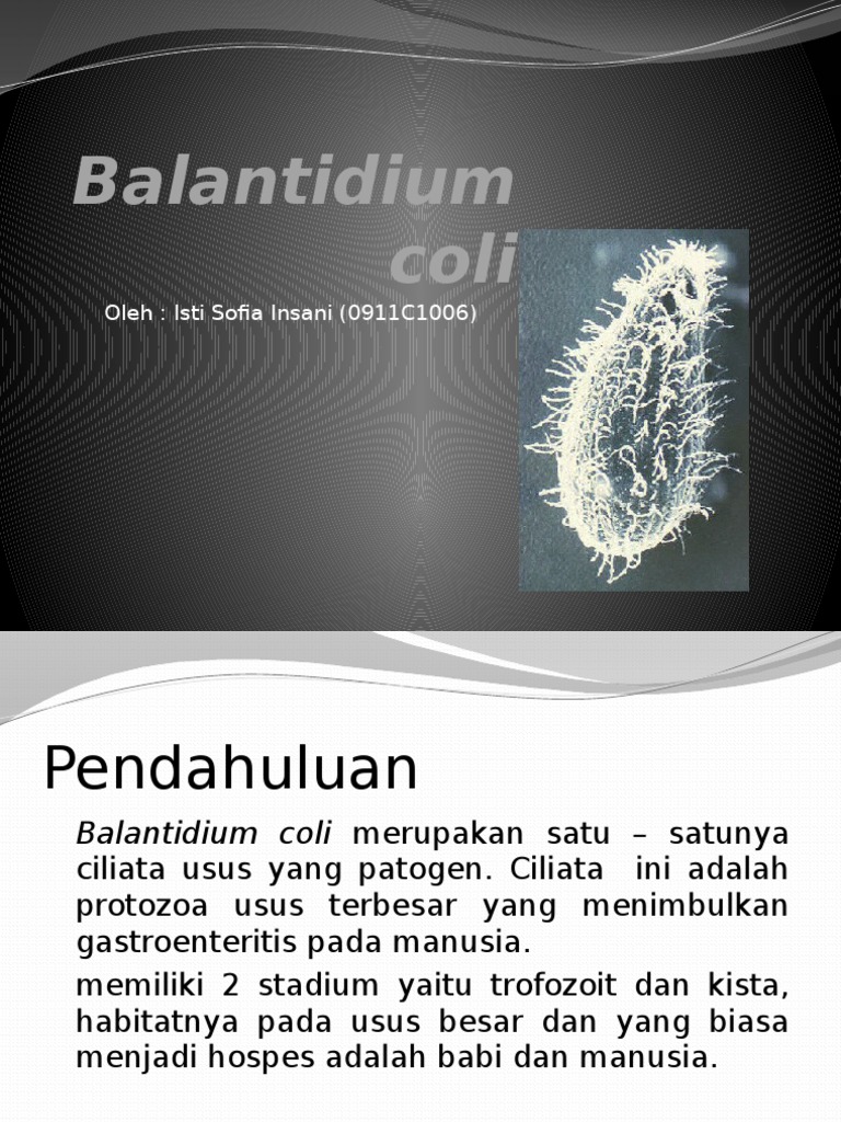 Balantidium Coli | PDF