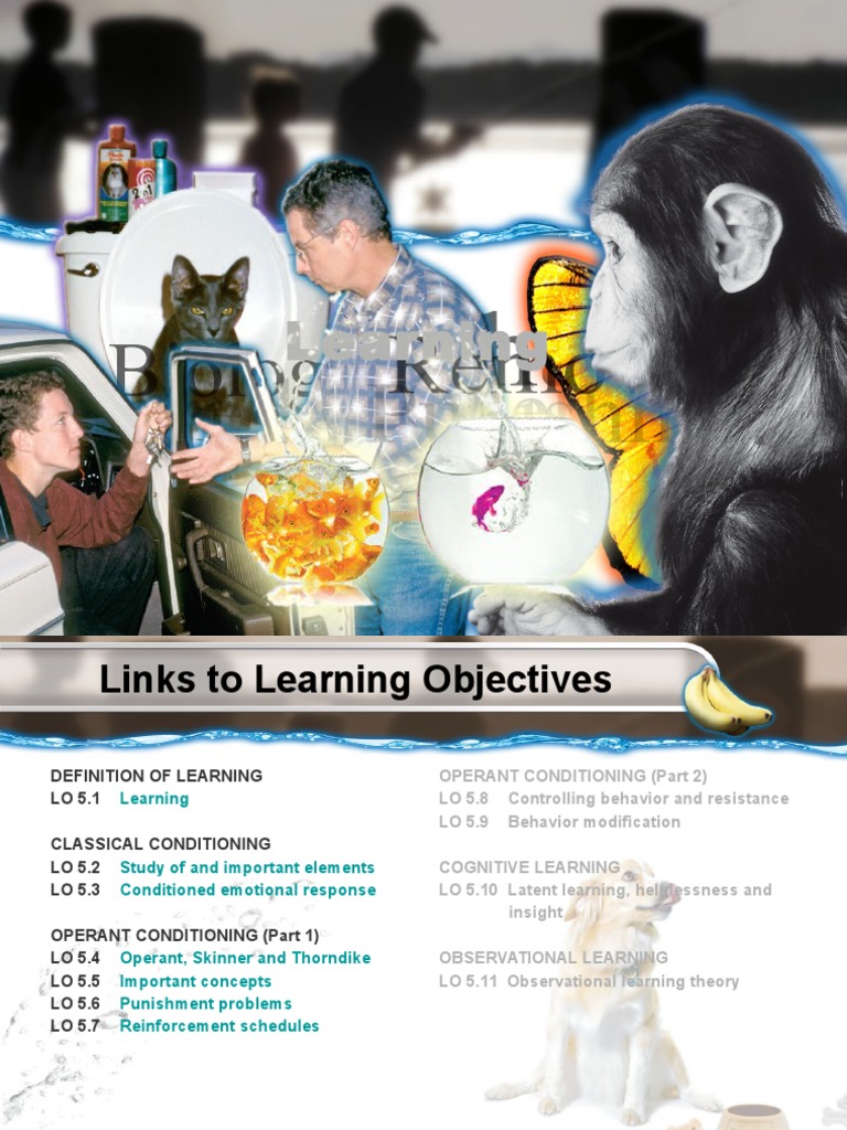 Psychology - Learning | PDF | Classical Conditioning | Reinforcement