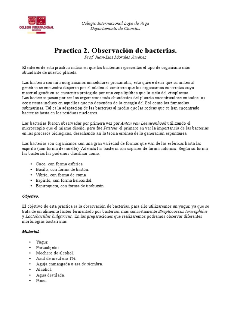Práctica 2. Bacterias | PDF | Ciencia y matemáticas