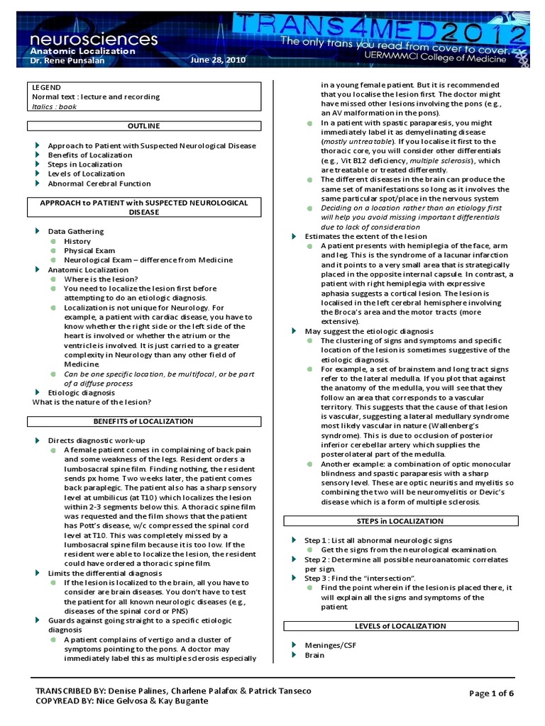 Neurological Localization Guide | PDF | Brainstem | Human Head And Neck