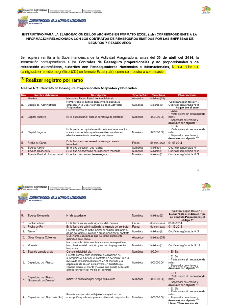 Formatos e Instructivos Instructivo Contratos de Reaseguros PDF | PDF | Porcentaje | Microsoft Excel