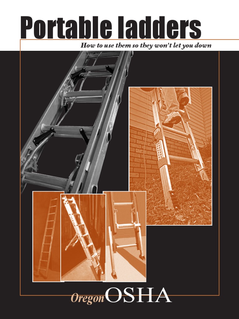Ladder Safety PDF | PDF | Ladder | Occupational Safety And Health ...