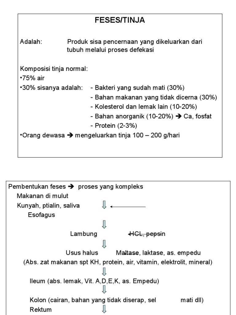 Proses Pembentukan Feses dan Pemeriksaan | PDF | Kesehatan Holistik ...