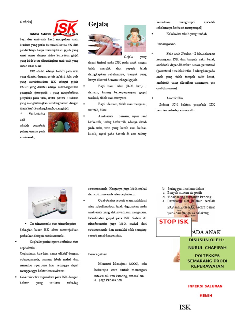 Leaflet Isk | PDF