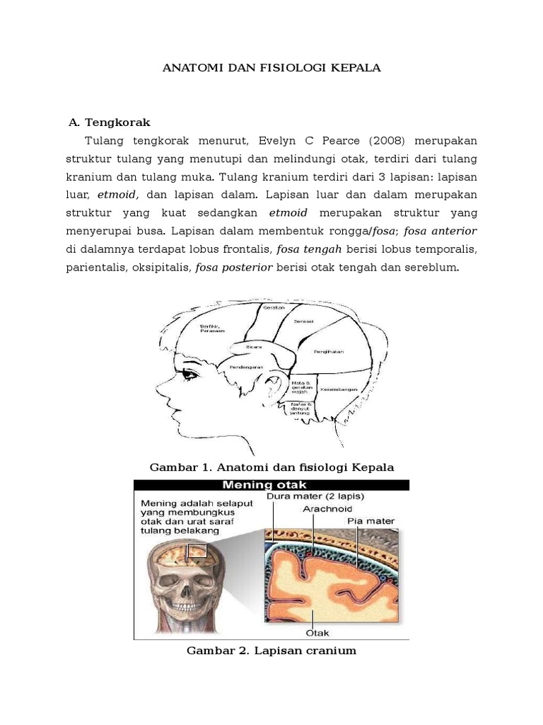 Anatomi Dan Fisiologi Kepala | PDF