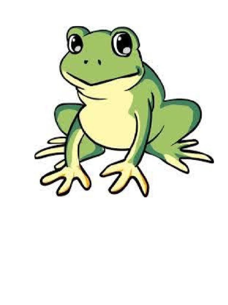 Walking in The Jungle Flashcards | PDF