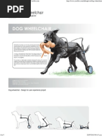 Iveco Daily Paint Color Codes Guide | PDF | Nature