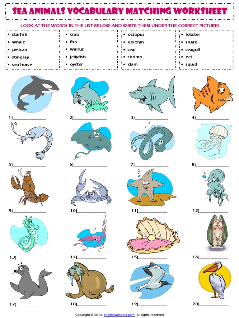 Sea Animals Esl Vocabulary Matching Exercise Worksheet-1 | PDF ...