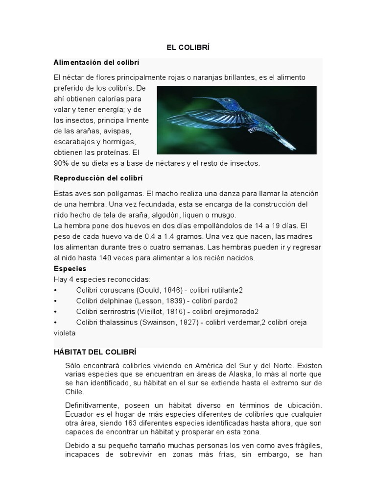 El Colibrí | PDF | Tetrápodos | Aves