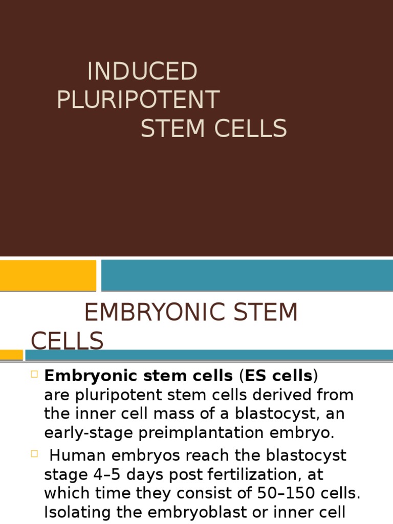 Induced Pluripotent | PDF | Cell Potency | Stem Cell