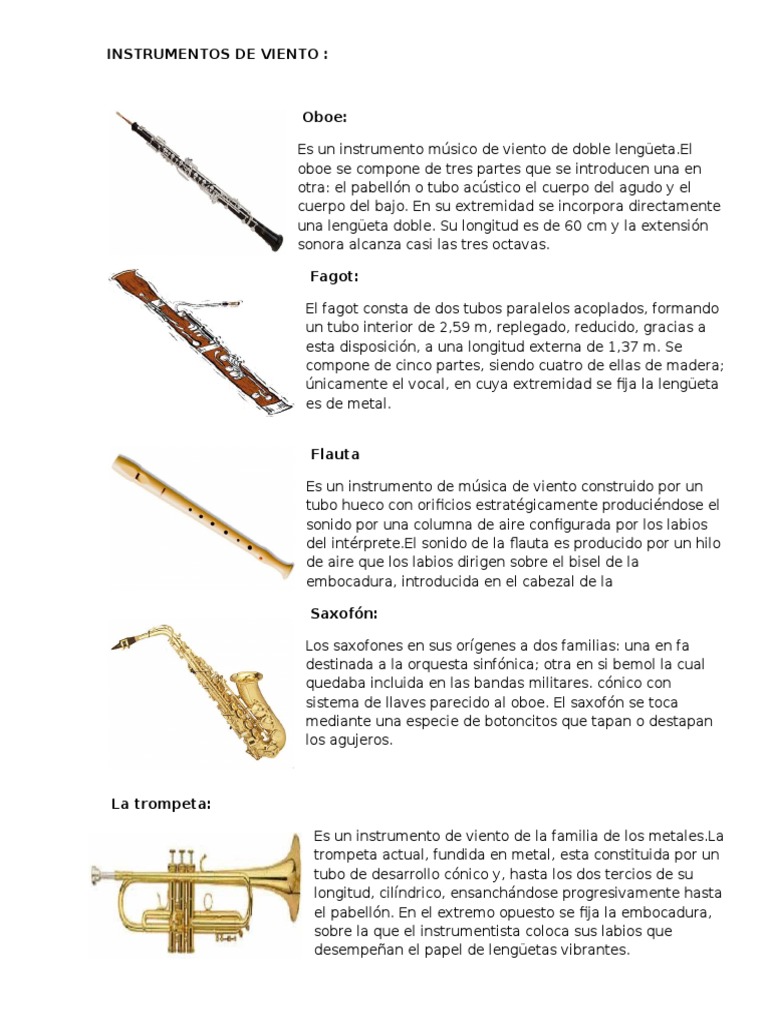 Instrumentos de Viento | PDF | Contrabajo | Instrumentos de cuerda