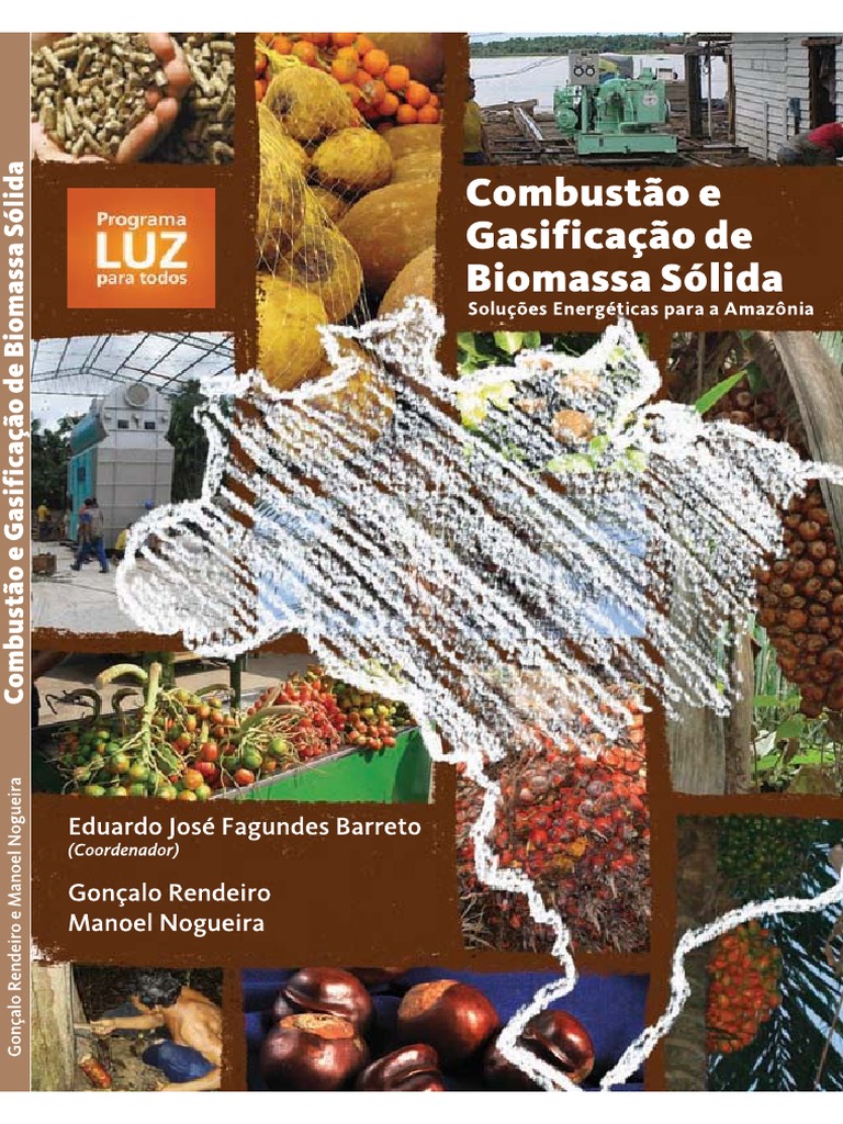 Solucoes Energeticas para A Amazonia Biomassa | PDF | Biomassa | Natureza