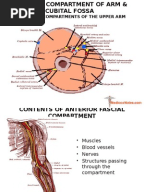 EZ-IO Insertion Proximal Humerus - In Depth | Arm | Anatomical Terms Of ...