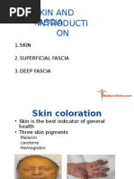 Skin Layers Labelling Guide | PDF