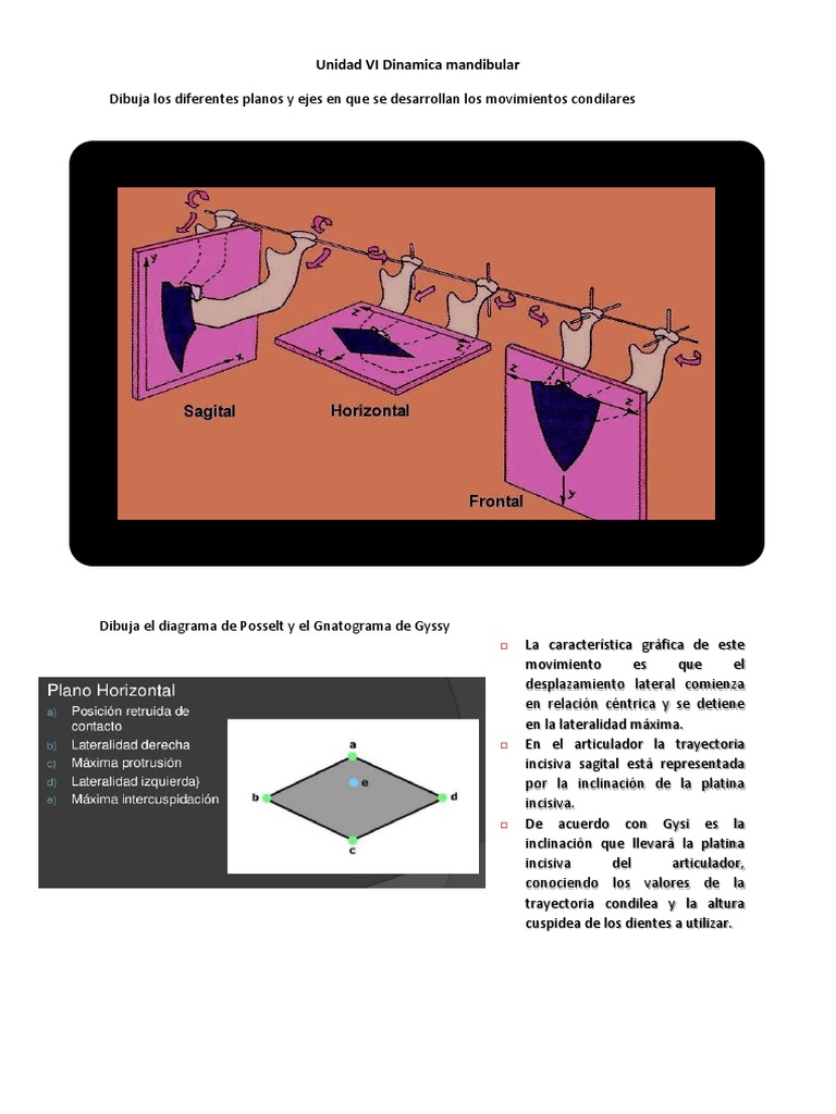 Diagrama de Posselt y Dinámica Mandibular | PDF