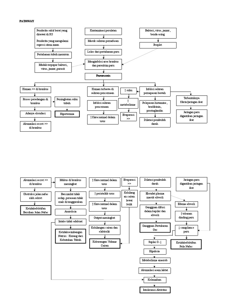 Pathway Pneumonia | PDF