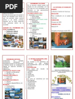 Triptico de Pasco | PDF | Alimentos | Naturaleza