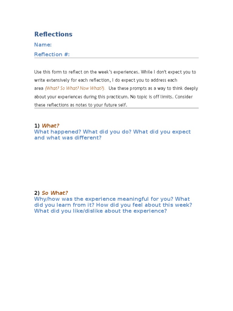 Practicum Reflections | PDF