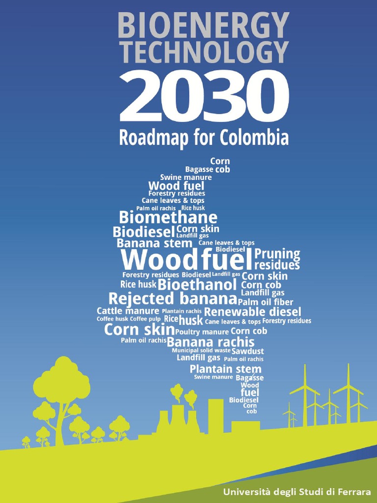 Bioenergy Technology Roadmap For Colombia | PDF | Biofuel | World ...