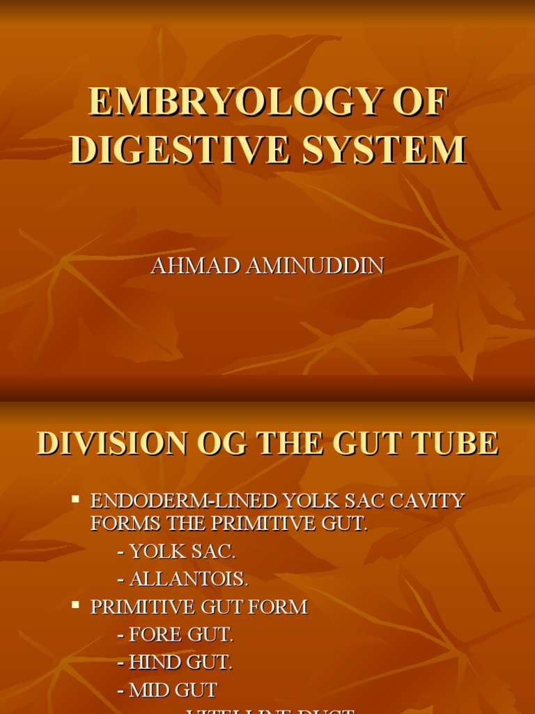 Embryology of Digestive System1 | PDF | Pancreas | Gastrointestinal Tract