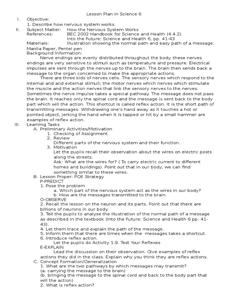 Nervous System Lesson Plan for Grade 6 | PDF | Nerve | Nervous System