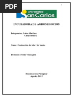 Proyecto de Locote en Paraguay | PDF | Pimiento | Economias