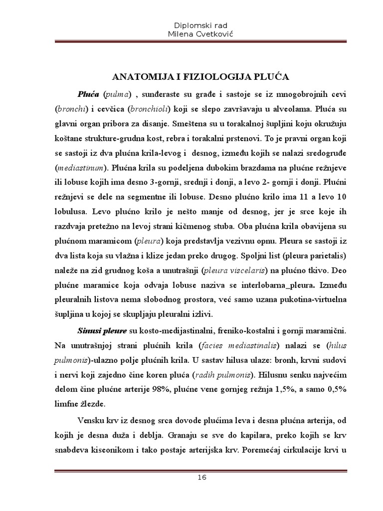 Milena Diplomski PLUCA | PDF