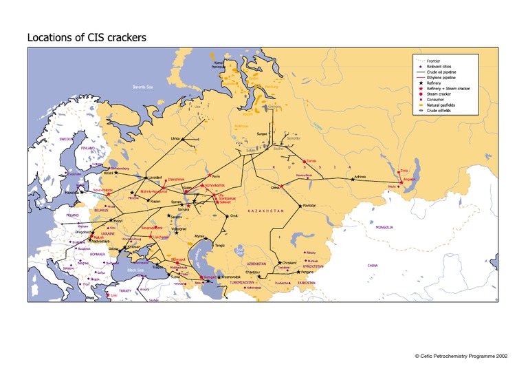 Cefic Petrochemistry Programme Overview | PDF
